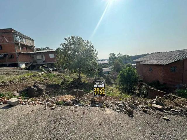 Terreno / Lote para Venda em Bento Gonçalves/RS Santa Helena
