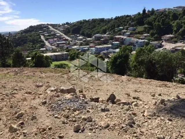 Terreno / Lote para Venda em Bento Gonçalves/RS Santa Marta