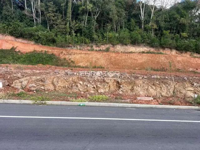 Terreno / Lote para Venda em Bento Gonçalves/RS Santa Marta