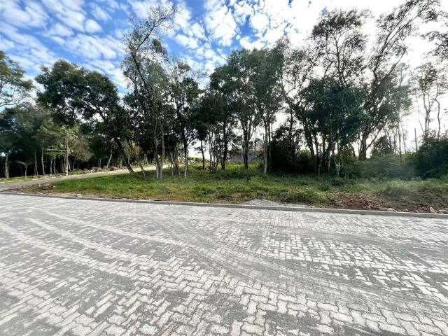Terreno / Lote para Venda em Bento Gonçalves/RS Santa Marta
