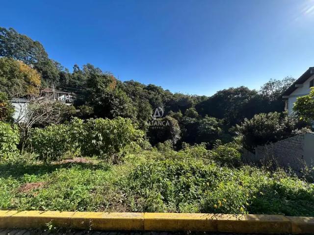Terreno / Lote para Venda em Bento Gonçalves/RS Santa Marta