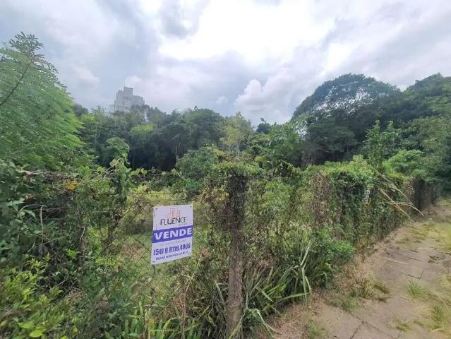Terreno / Lote para Venda em Bento Gonçalves/RS Santa Rita