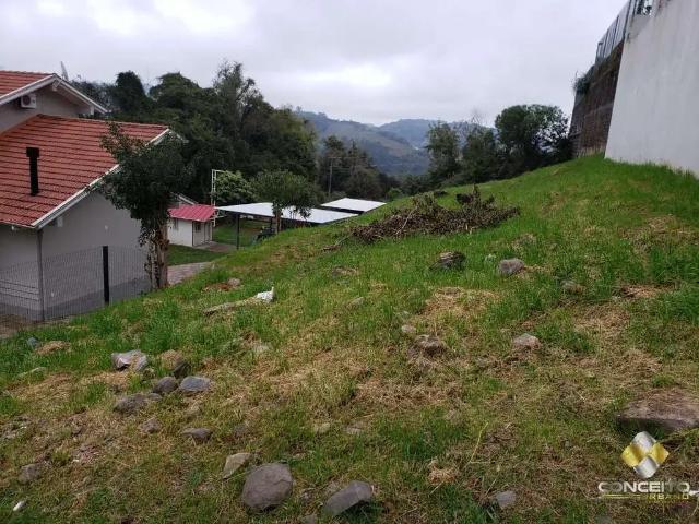 Terreno / Lote para Venda em Bento Gonçalves/RS Santa Rita