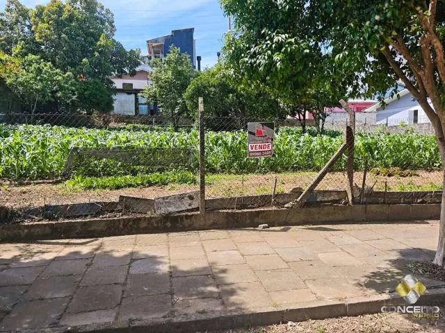 Terreno / Lote para Venda em Bento Gonçalves/RS Santa Rita