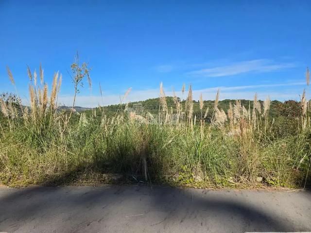 Terreno / Lote para Venda em Bento Gonçalves/RS Santo Antão