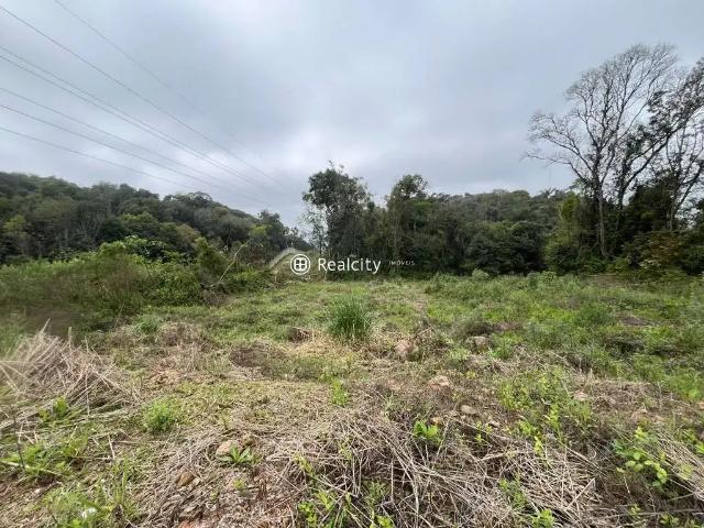 Terreno / Lote para Venda em Bento Gonçalves/RS Santo Antão