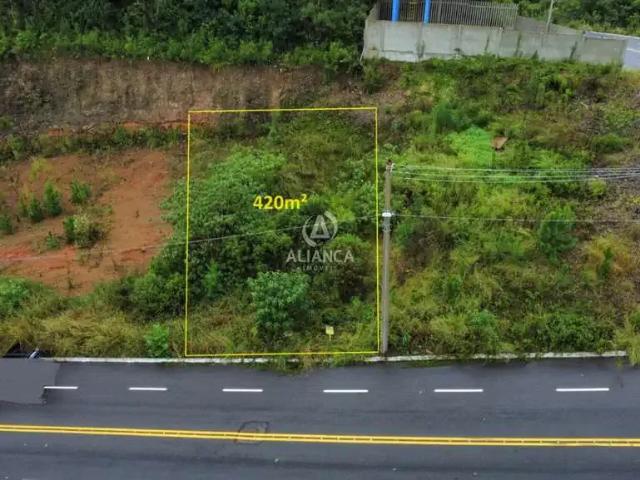 Terreno / Lote para Venda em Bento Gonçalves/RS Santo Antão