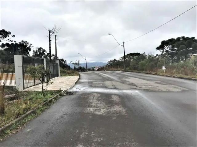 Terreno / Lote para Venda em Bento Gonçalves/RS Santo Antão