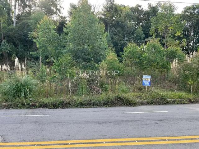 Terreno / Lote para Venda em Bento Gonçalves/RS Santo Antão