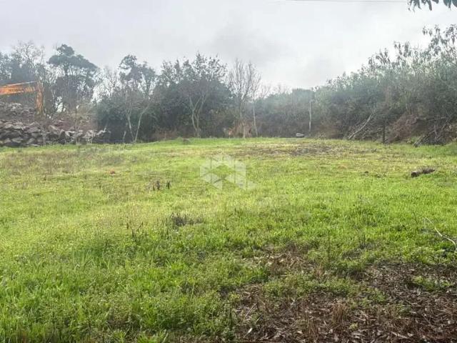 Terreno / Lote para Venda em Bento Gonçalves/RS Santo Antão