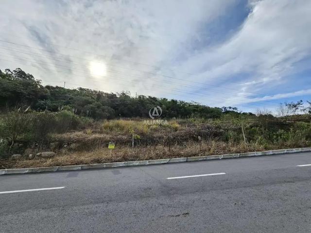 Terreno / Lote para Venda em Bento Gonçalves/RS Santo Antão