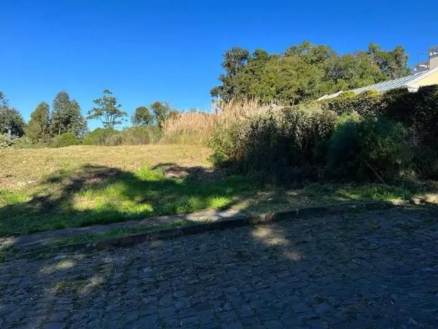Terreno / Lote para Venda em Bento Gonçalves/RS Santo Antão