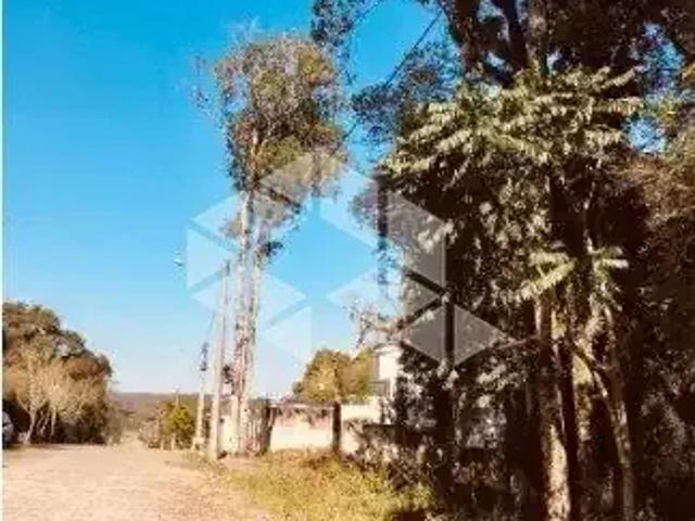 Terreno / Lote para Venda em Bento Gonçalves/RS Santo Antão