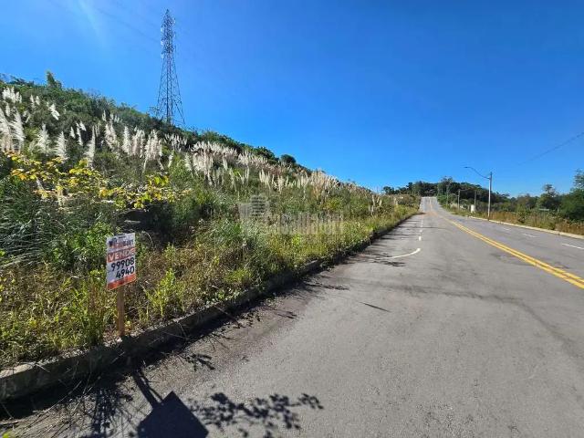 Terreno / Lote para Venda em Bento Gonçalves/RS Santo Antão