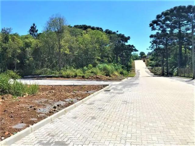 Terreno / Lote para Venda em Bento Gonçalves/RS Santo Antão