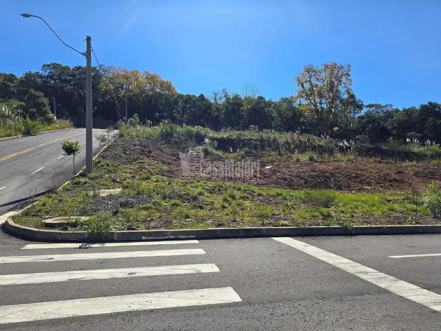Terreno / Lote para Venda em Bento Gonçalves/RS Santo Antão