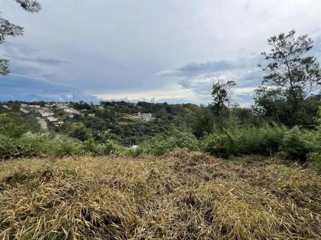 Terreno / Lote para Venda em Bento Gonçalves/RS Santo Antão