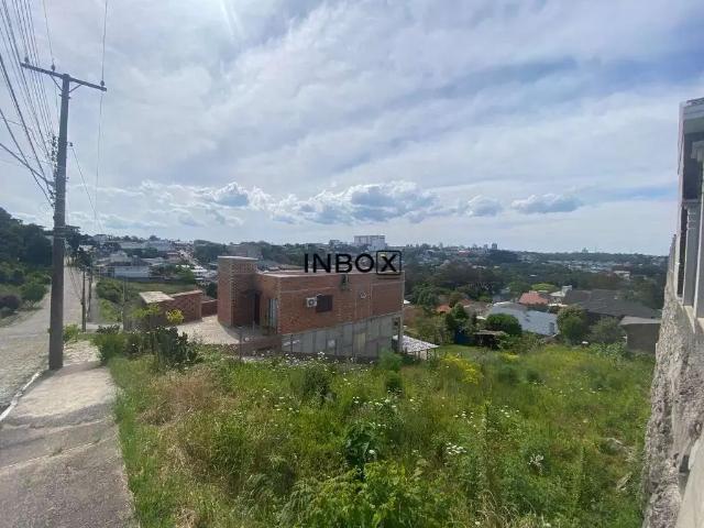 Terreno / Lote para Venda em Bento Gonçalves/RS Santo Antão
