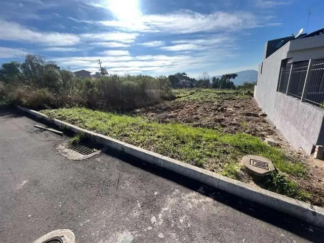 Terreno / Lote para Venda em Bento Gonçalves/RS Santo Antão