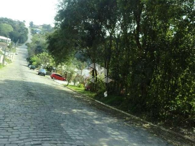 Terreno / Lote para Venda em Bento Gonçalves/RS Santo Antão