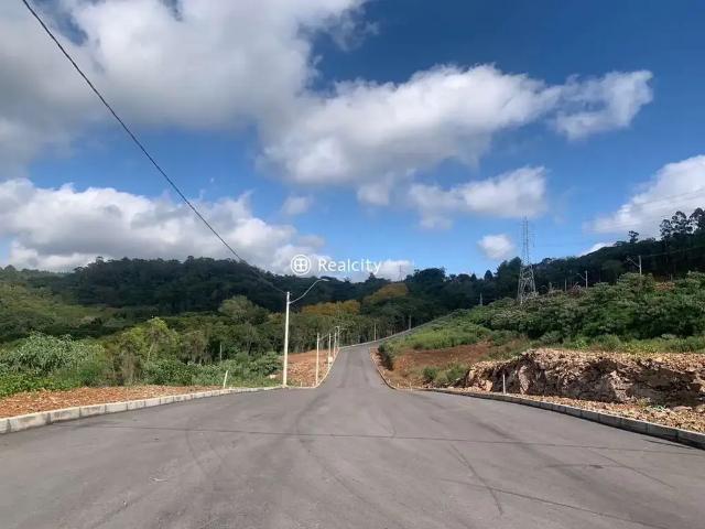 Terreno / Lote para Venda em Bento Gonçalves/RS Santo Antão