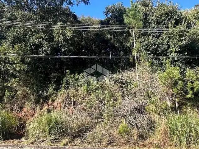 Terreno / Lote para Venda em Bento Gonçalves/RS Santo Antão