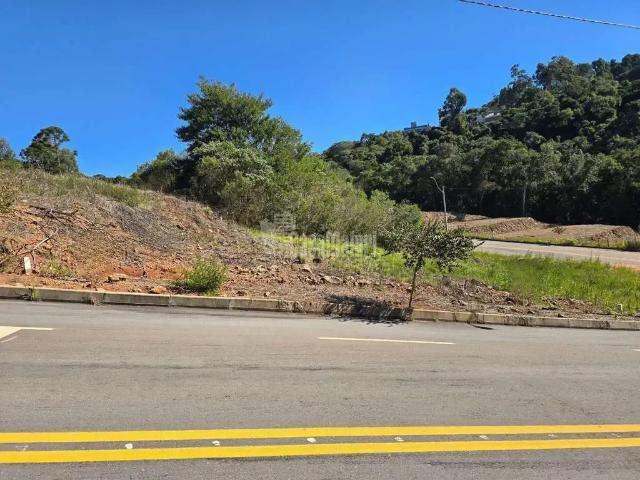 Terreno / Lote para Venda em Bento Gonçalves/RS Santo Antão