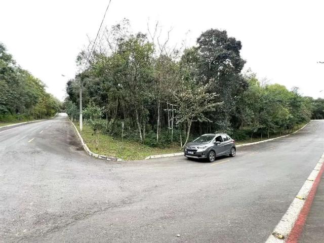 Terreno / Lote para Venda em Bento Gonçalves/RS Santo Antão