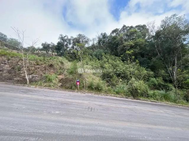 Terreno / Lote para Venda em Bento Gonçalves/RS Santo Antão