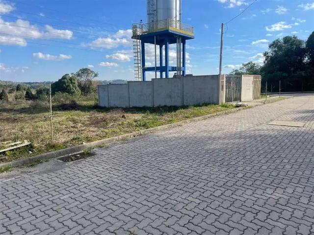 Terreno / Lote para Venda em Bento Gonçalves/RS Santo Antão