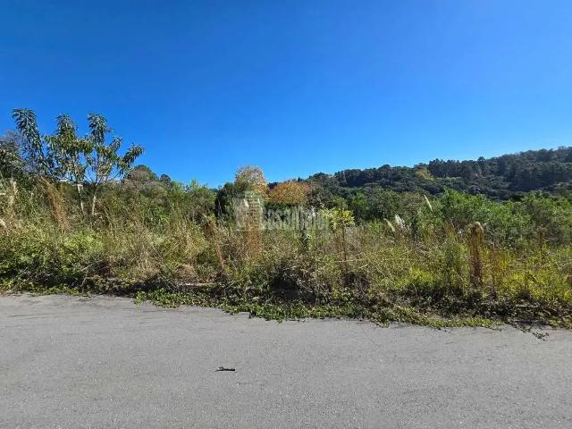 Terreno / Lote para Venda em Bento Gonçalves/RS Santo Antão
