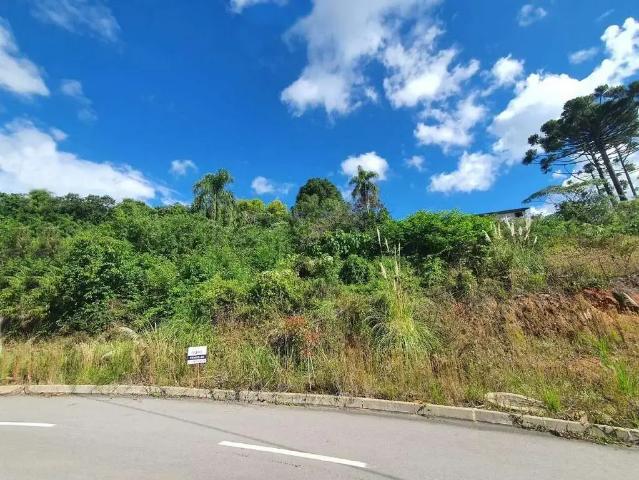 Terreno / Lote para Venda em Bento Gonçalves/RS Santo Antão