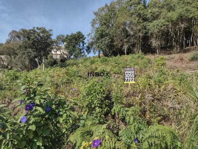Terreno / Lote para Venda em Bento Gonçalves/RS Santo Antão