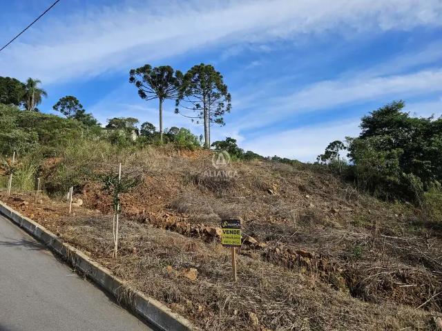 Terreno / Lote para Venda em Bento Gonçalves/RS Santo Antão