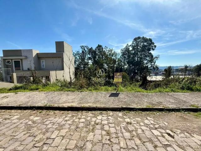 Terreno / Lote para Venda em Bento Gonçalves/RS Santo Antão