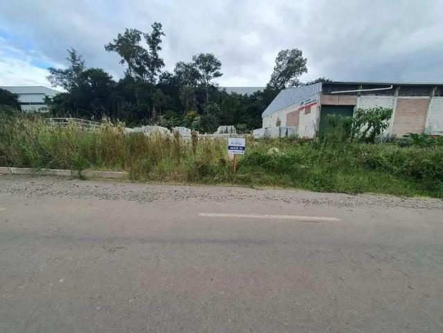 Terreno / Lote para Venda em Bento Gonçalves/RS Salgado
