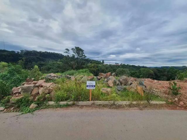 Terreno / Lote para Venda em Bento Gonçalves/RS Salgado