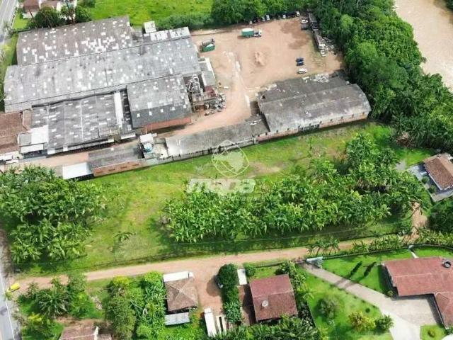 Terreno / Lote para Venda em Benedito Novo/SC Centro