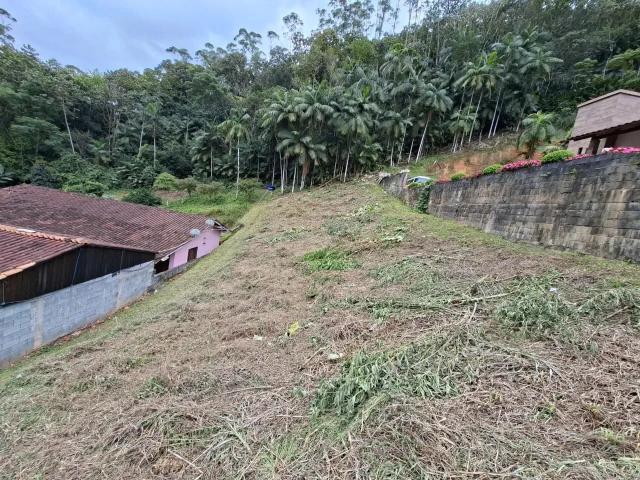 Terreno / Lote para Venda em Benedito Novo/SC Centro