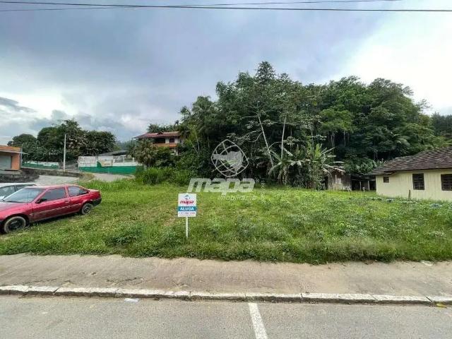 Terreno / Lote para Venda em Benedito Novo/SC Centro