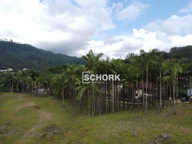 Terreno / Lote para Venda em Benedito Novo/SC Centro