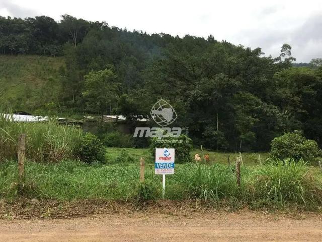 Terreno / Lote para Venda em Benedito Novo/SC Alto Benedito