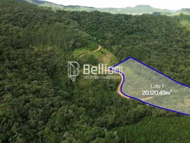 Terreno / Lote para Venda em Benedito Novo/SC Santa Maria