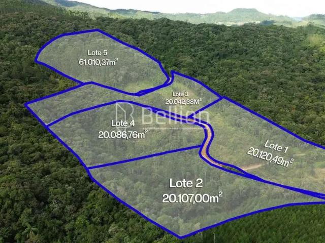 Terreno / Lote para Venda em Benedito Novo/SC Santa Maria