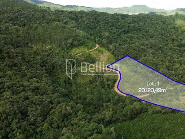 Terreno / Lote para Venda em Benedito Novo/SC Santa Maria