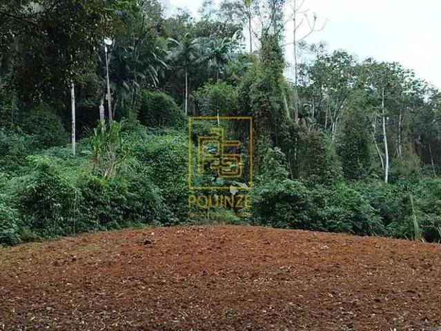 Terreno / Lote para Venda em Benedito Novo/SC Rio Tigre