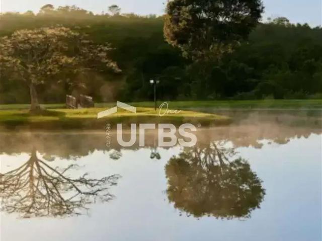 Terreno / Lote para Venda em Bela Vista de Goiás/GO Zona Rural