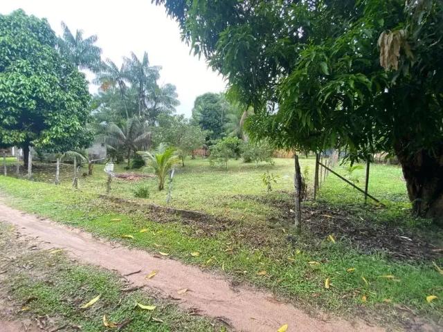 Terreno / Lote para Venda em Belém/PA Baía do Sol Mosqueiro