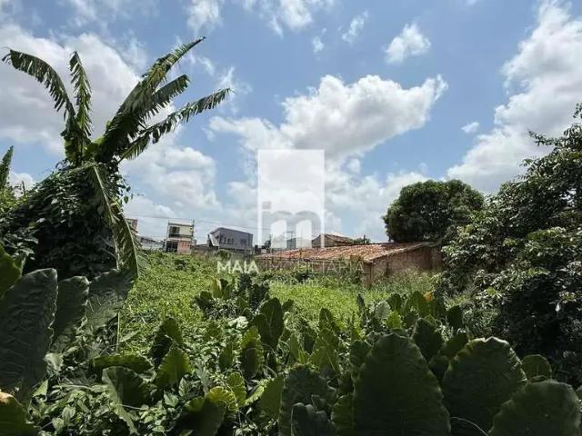 Terreno / Lote para Venda em Belém/PA Sacramenta