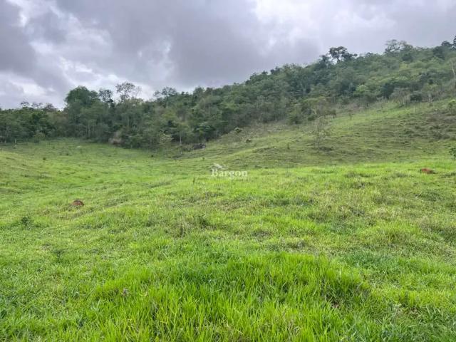 Terreno / Lote para Venda em Belmiro Braga/MG Zona Rural